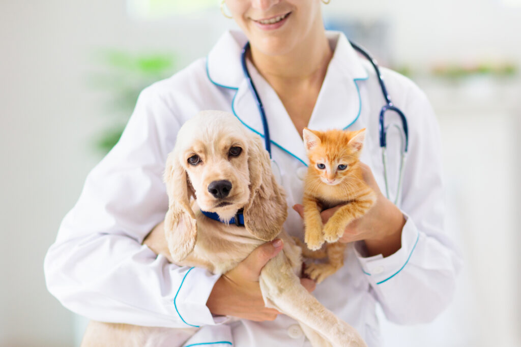 How Easily Can You Get a Veterinarian License Bond? | Colonial Surety